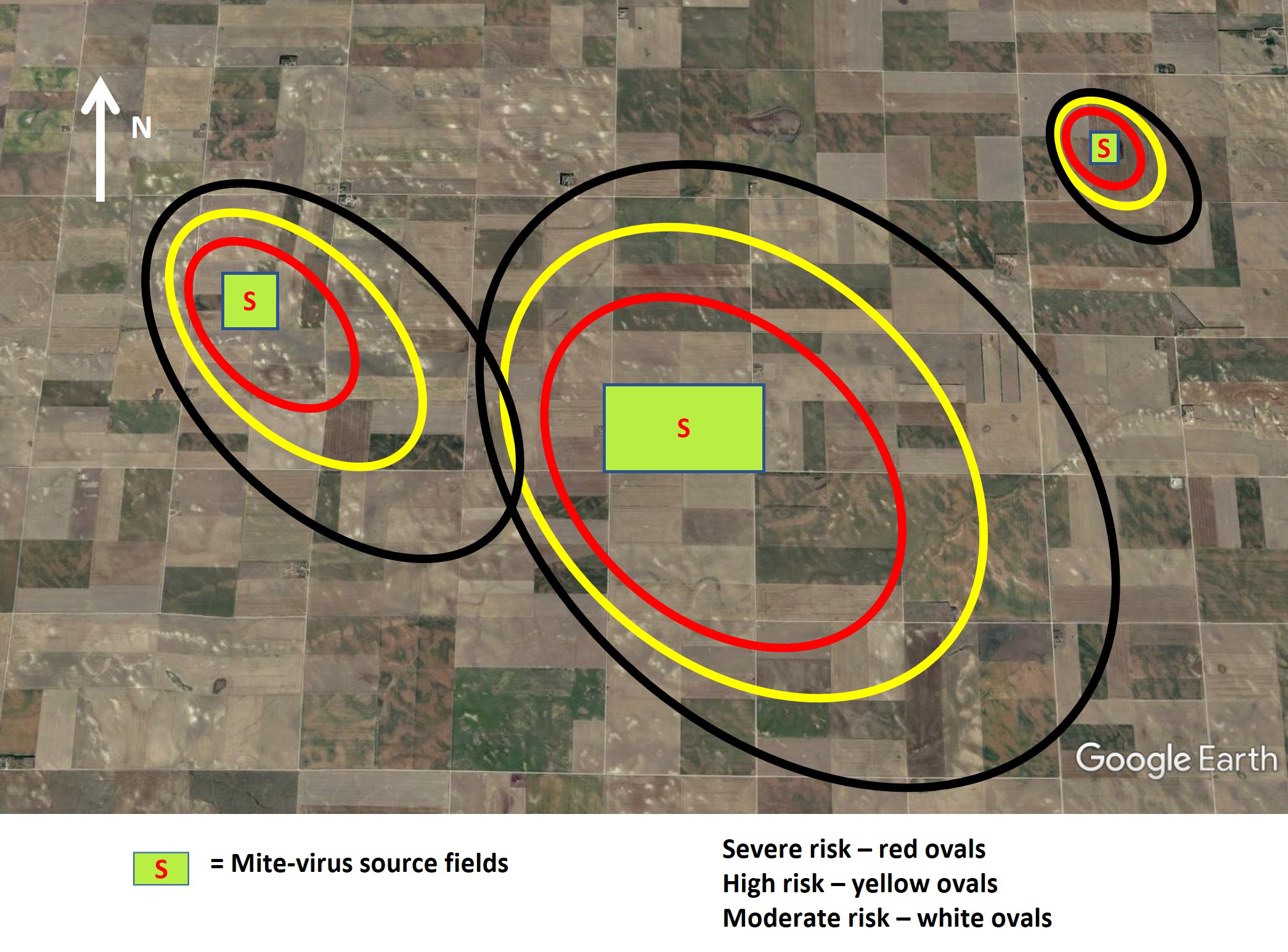 : Mite-Transmitted Virus Disease Complex of Wheat in the Great Plains ...
