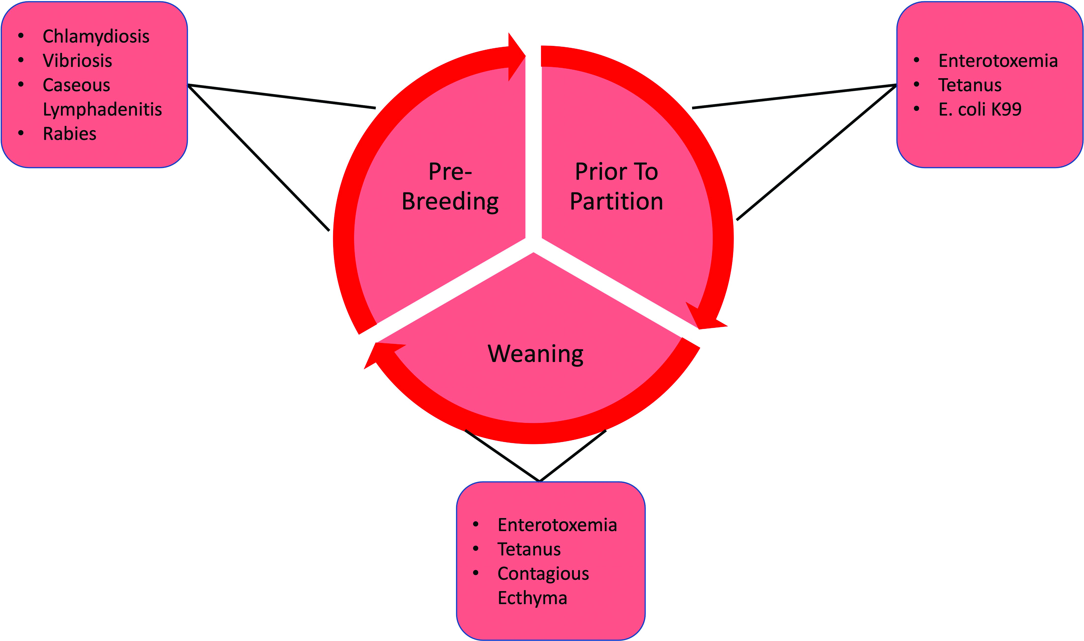 The Basics of Vaccinating Sheep and Goats (G2339)