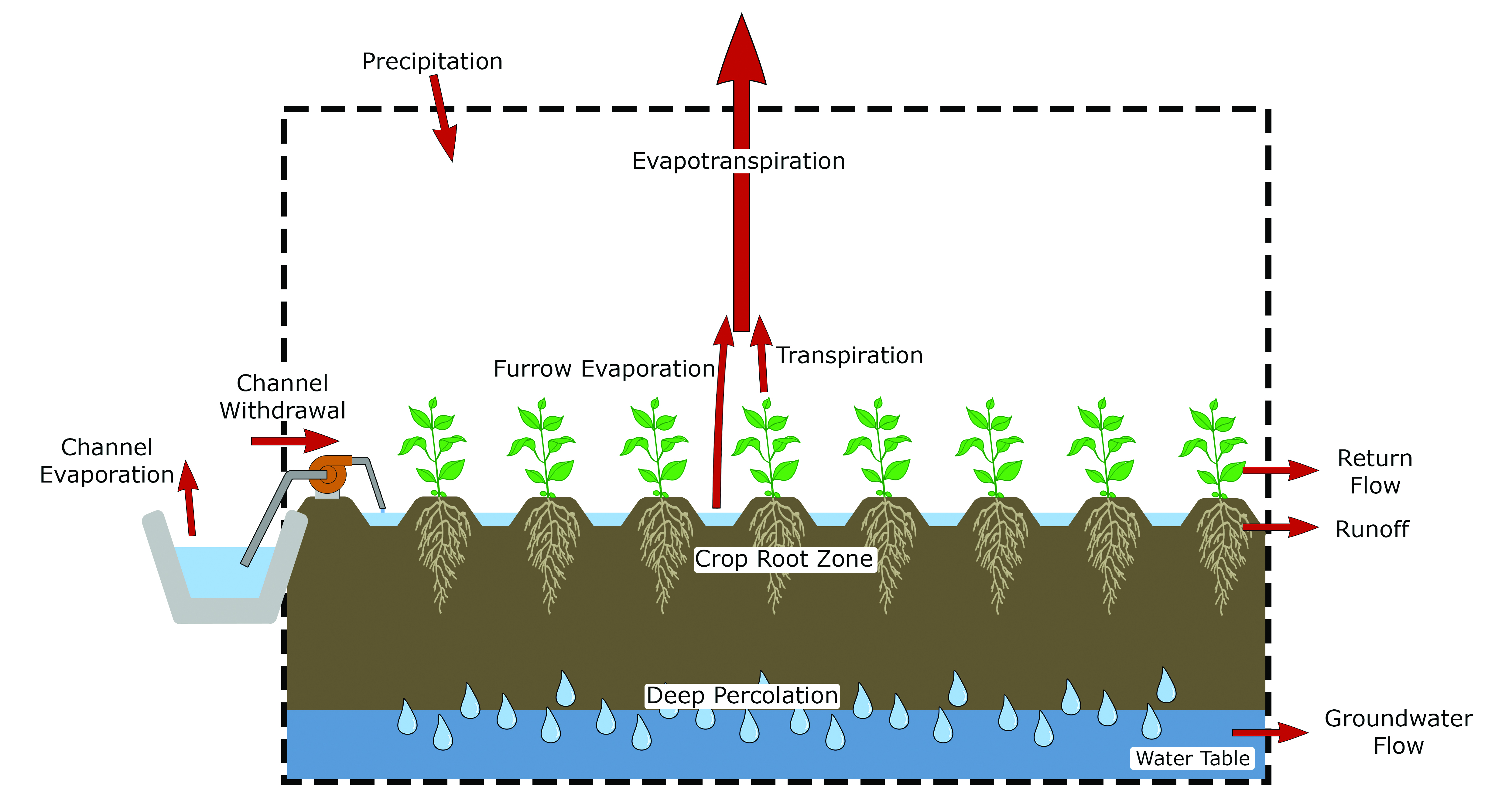Impact of Irrigation Technologies on Water Use (g2345)