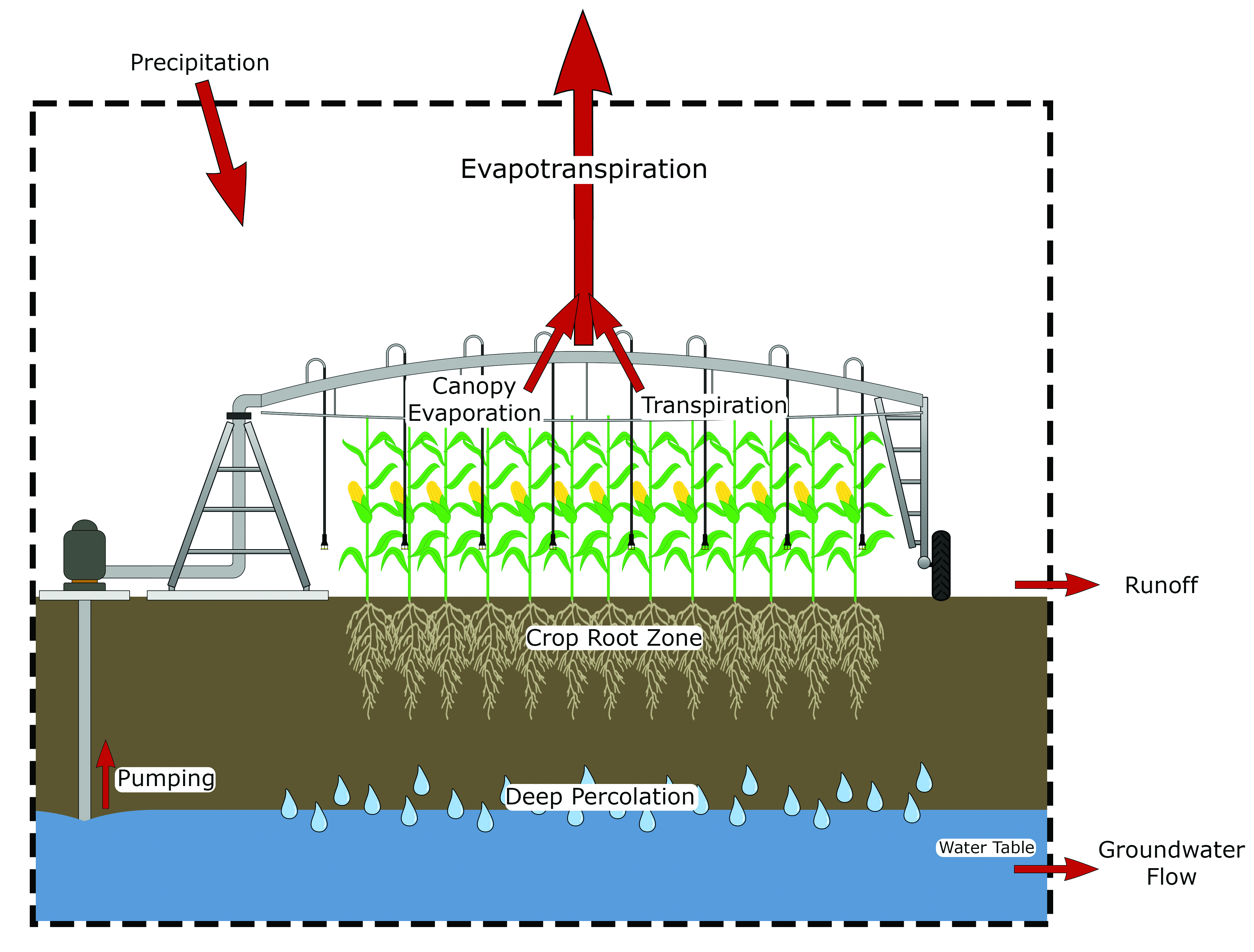 Impact of Irrigation Technologies on Water Use (g2345)